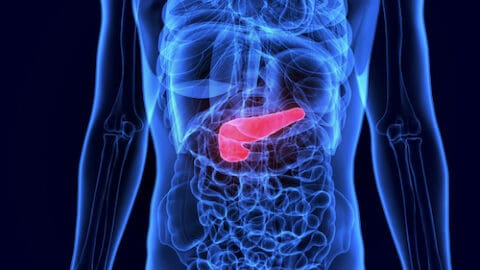 Pancreas Surgery Pancreatic Surgery Ugirs Melbourne